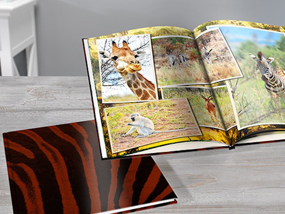 Top 5 tips for a perfect page background | Pixum Photo Book